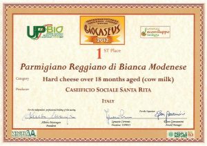 Alte Rinderrasse: Bianca Modenese Kühe für den besten Parmesan der Welt ...